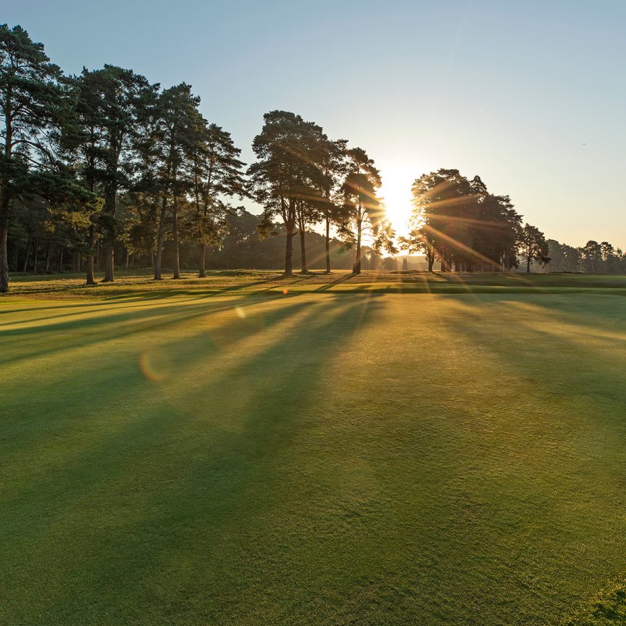 Website & Branding Projects – Pure Graphic Design — Pure Graphic Design